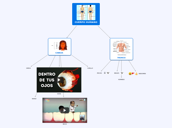 CUERPO HUMANO - Mind Map